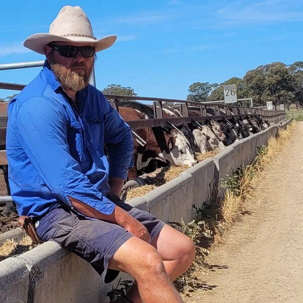 Garvan Park Feedlot recommends ZinMet to improve cattle hoof health